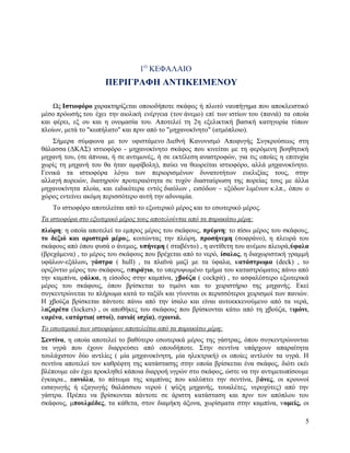 Ιστιοφόρο | DOC