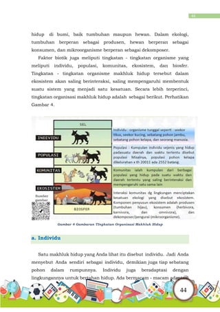 A1 Modul Ajar IPAS Elcha Bagus Narendra Putra Final Makhluk Hidup ...