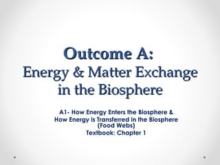 Biology 30 Ecology Notes For Gr 11 students.ppt