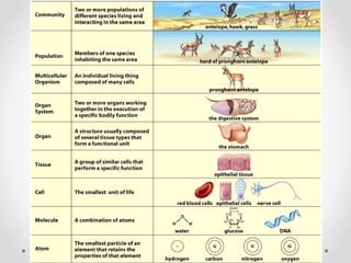 Biology 30 Ecology Notes For Gr 11 students.ppt
