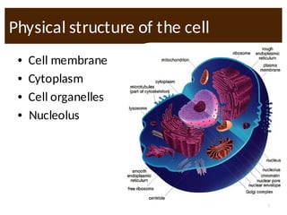 Physiology | PDF
