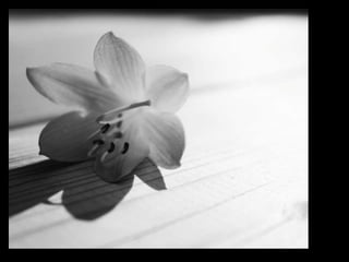 A1 presentation | PPT