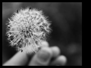 A1 presentation | PPT