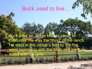 Sarah, Jonathan & Austen | PPT