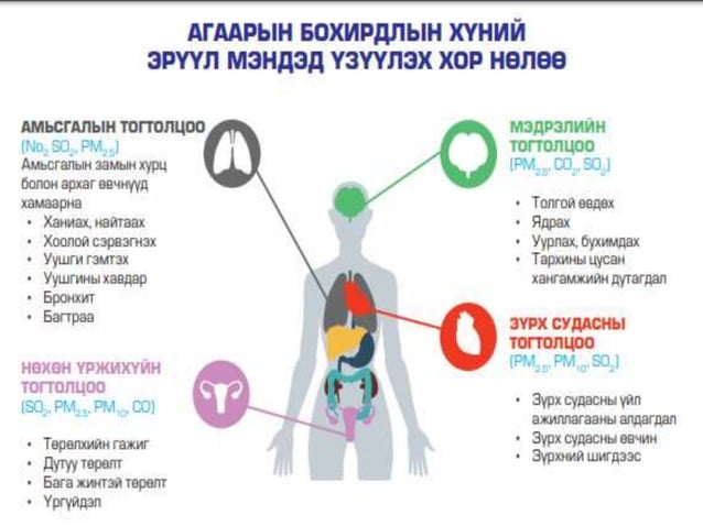Агаарын бохирдол эрүүл мэндэд нөлөөлөх нь 10 анги Ppt