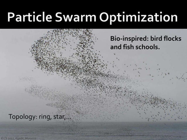 Towards A 2 Dimensional Self Organized Framework For Structured Population Based Metaheuristics