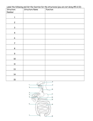 Digestion Worksheet - Review | DOC