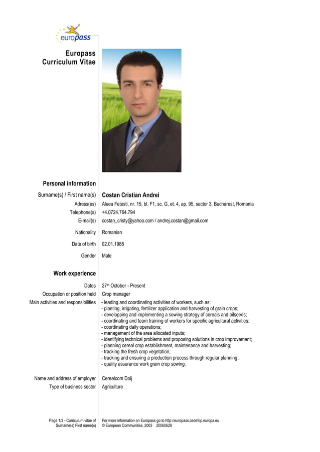CV Costan Cristian Andrei English | PDF
