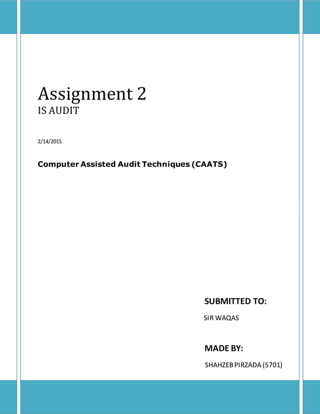 Computer Assisted Audit Techniques (CAATS) - IS AUDIT | DOCX