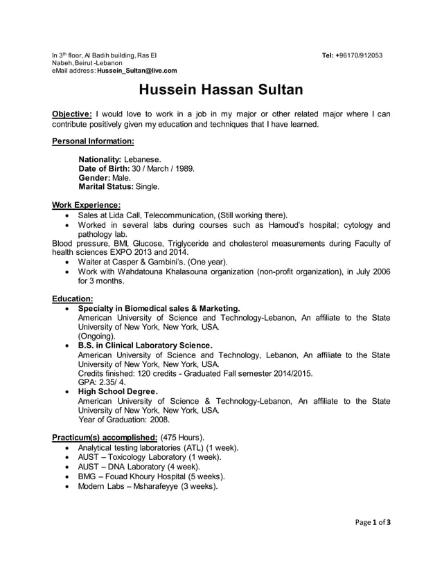 Hussein Sultan CV | PDF