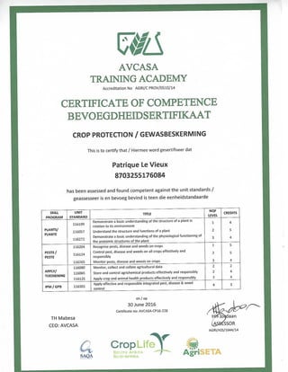 AVCASA certificate | PDF