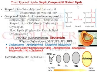 antihyper lipidemia & plantcons | PPT
