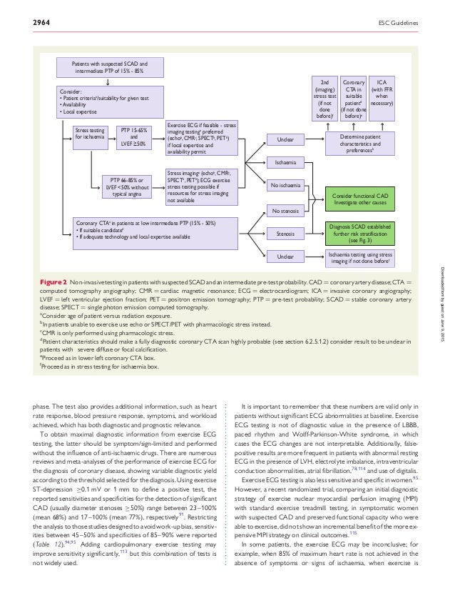 2013 ESC Guidelines (Chronic Stable Angina)
