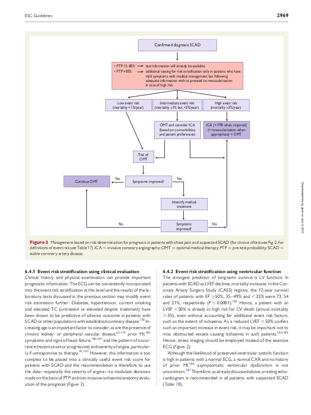 2013 ESC Guidelines (Chronic Stable Angina)