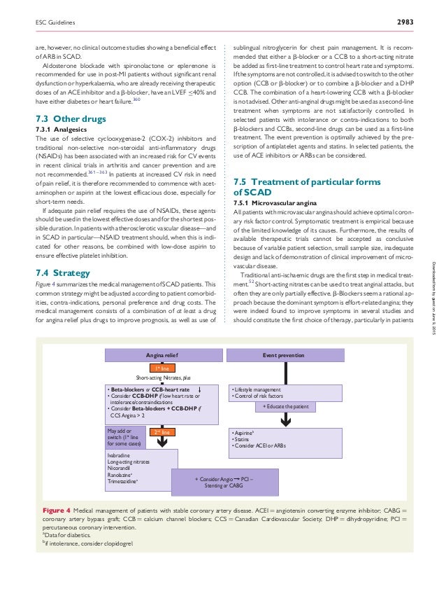 2013 ESC Guidelines (Chronic Stable Angina)