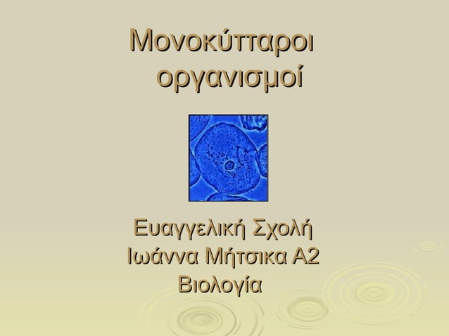 Η Αναπαραγωγή στους Μονοκύτταρους Οργανισμούς | PPT | Free Download
