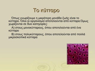 Η Αναπαραγωγή στους Μονοκύτταρους Οργανισμούς | PPT