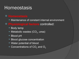 A2 Bio_14 Homeostasis and how it works.pptx