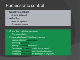 A2 Bio_14 Homeostasis and how it works.pptx