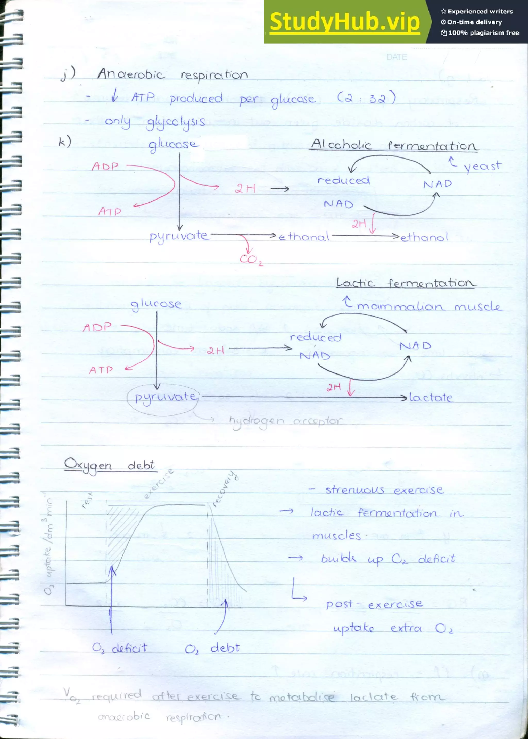 A2 Biology All In One Handwritten Notes | PDF