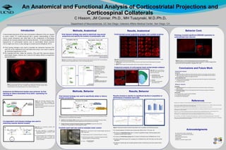 SACNAS poster | PPT