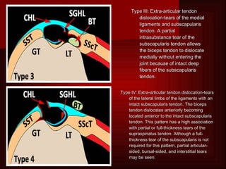 Biceps tendon pathology | PPT