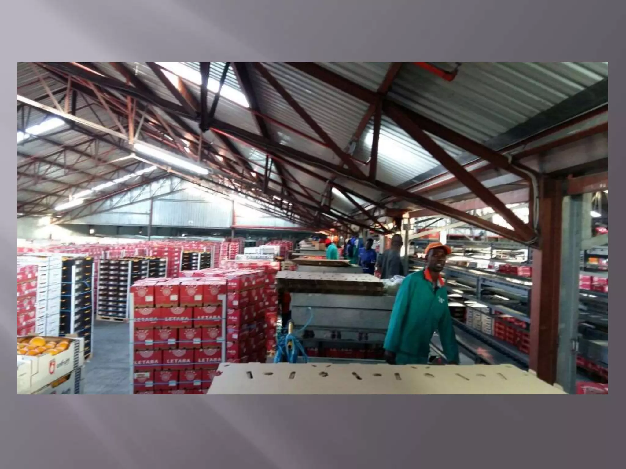 My New Pack House Design - in action | PPTX