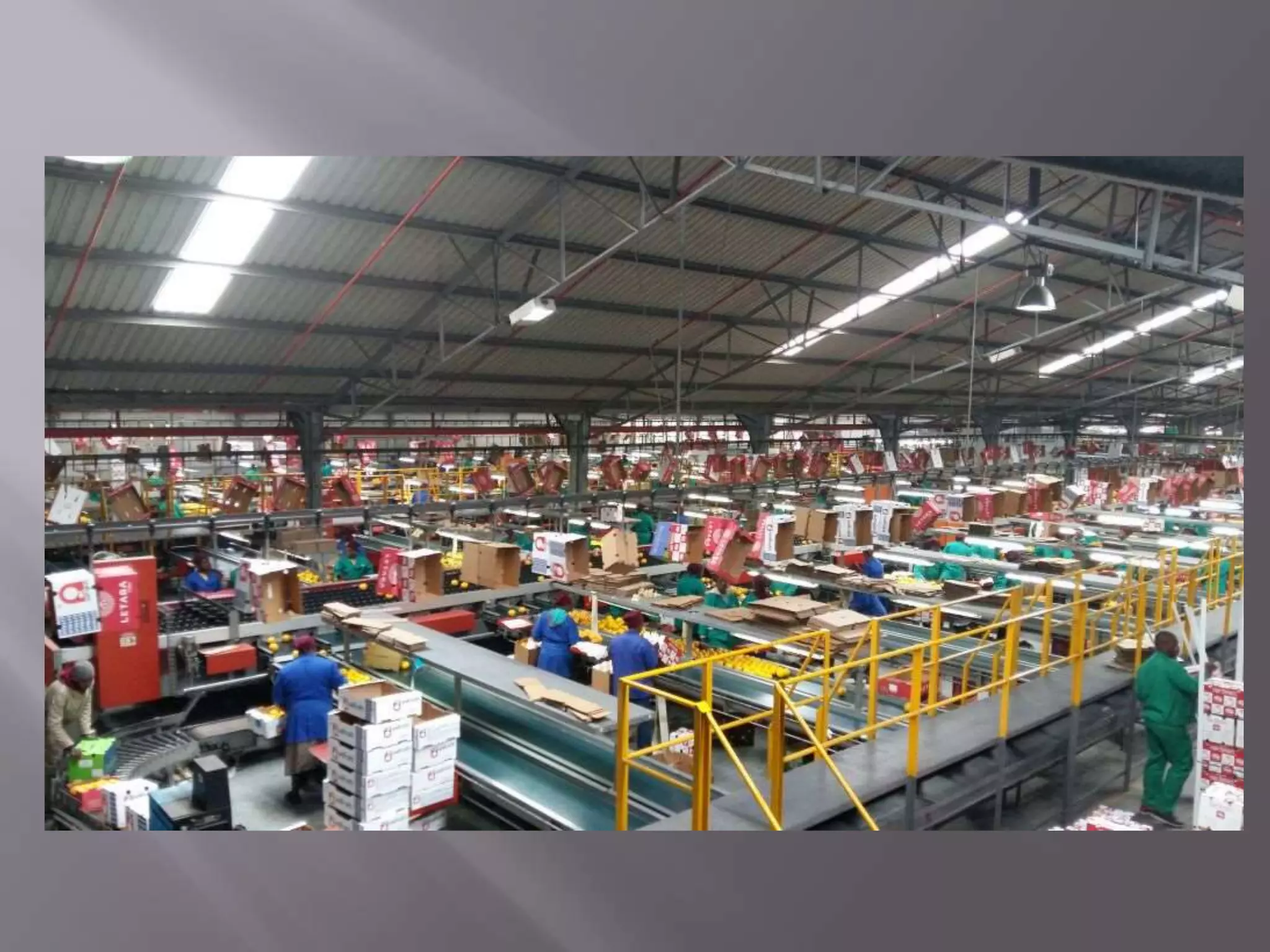 My New Pack House Design - in action | PPTX