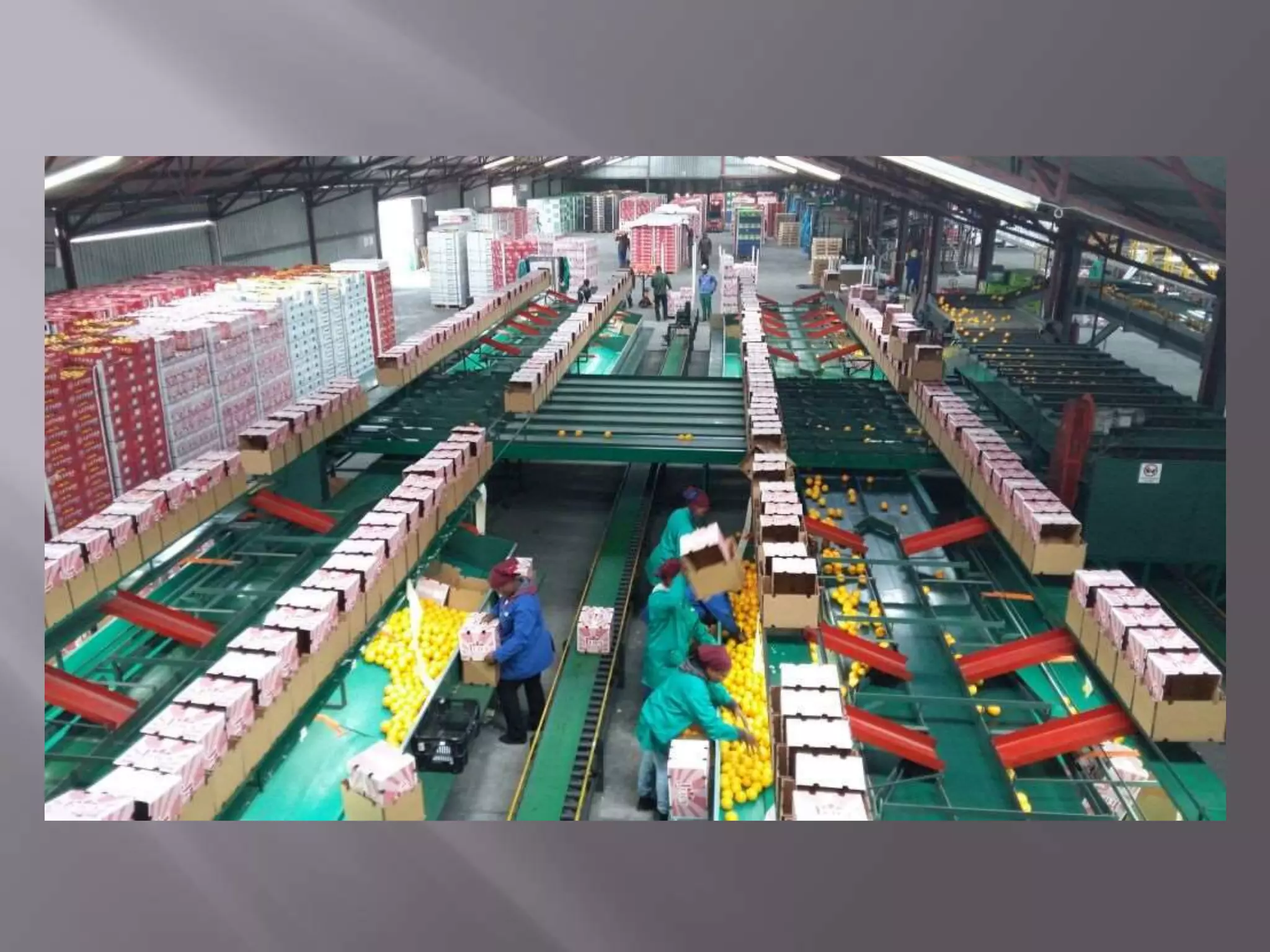 My New Pack House Design - in action | PPTX