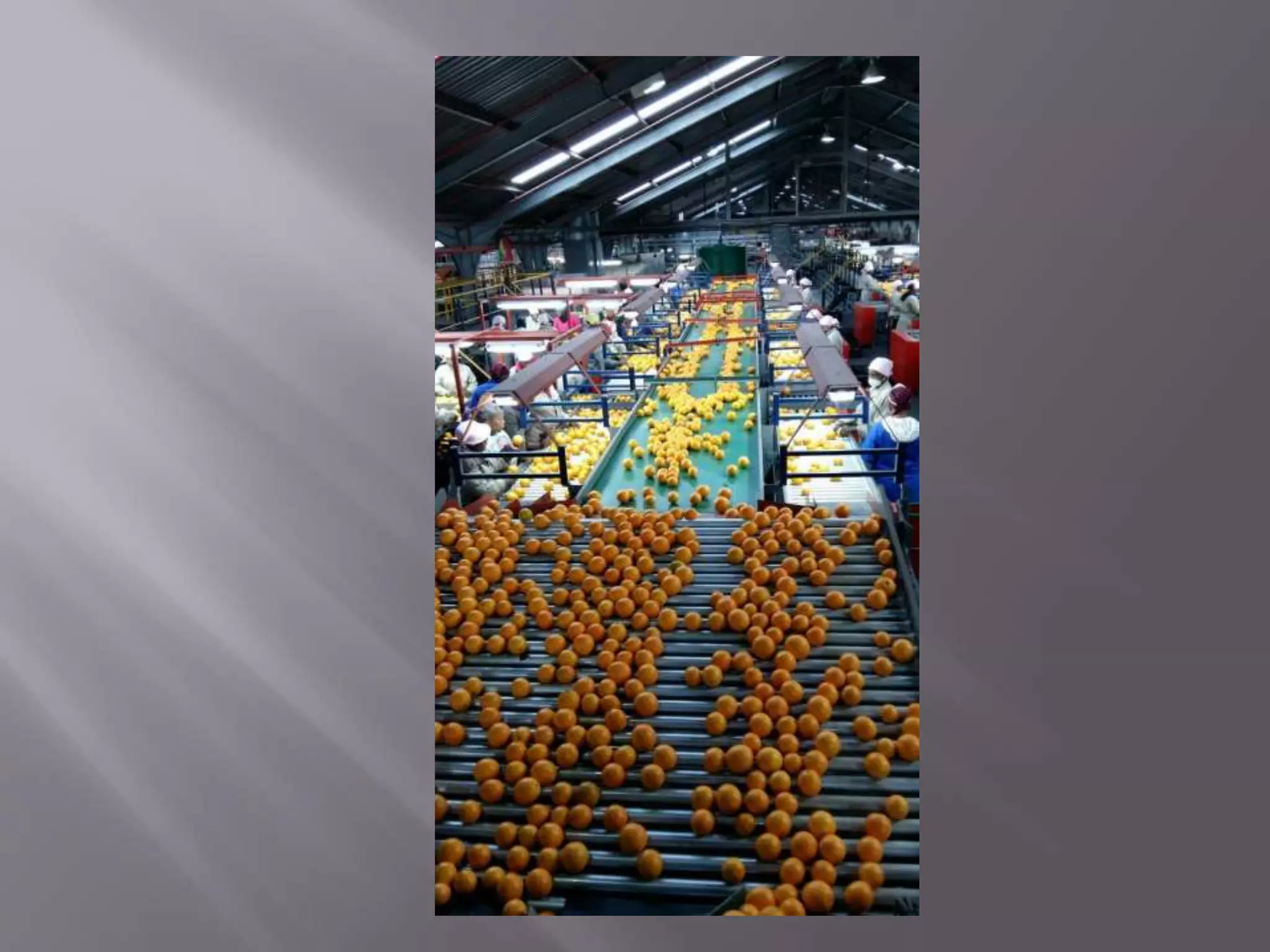 My New Pack House Design - in action | PPTX