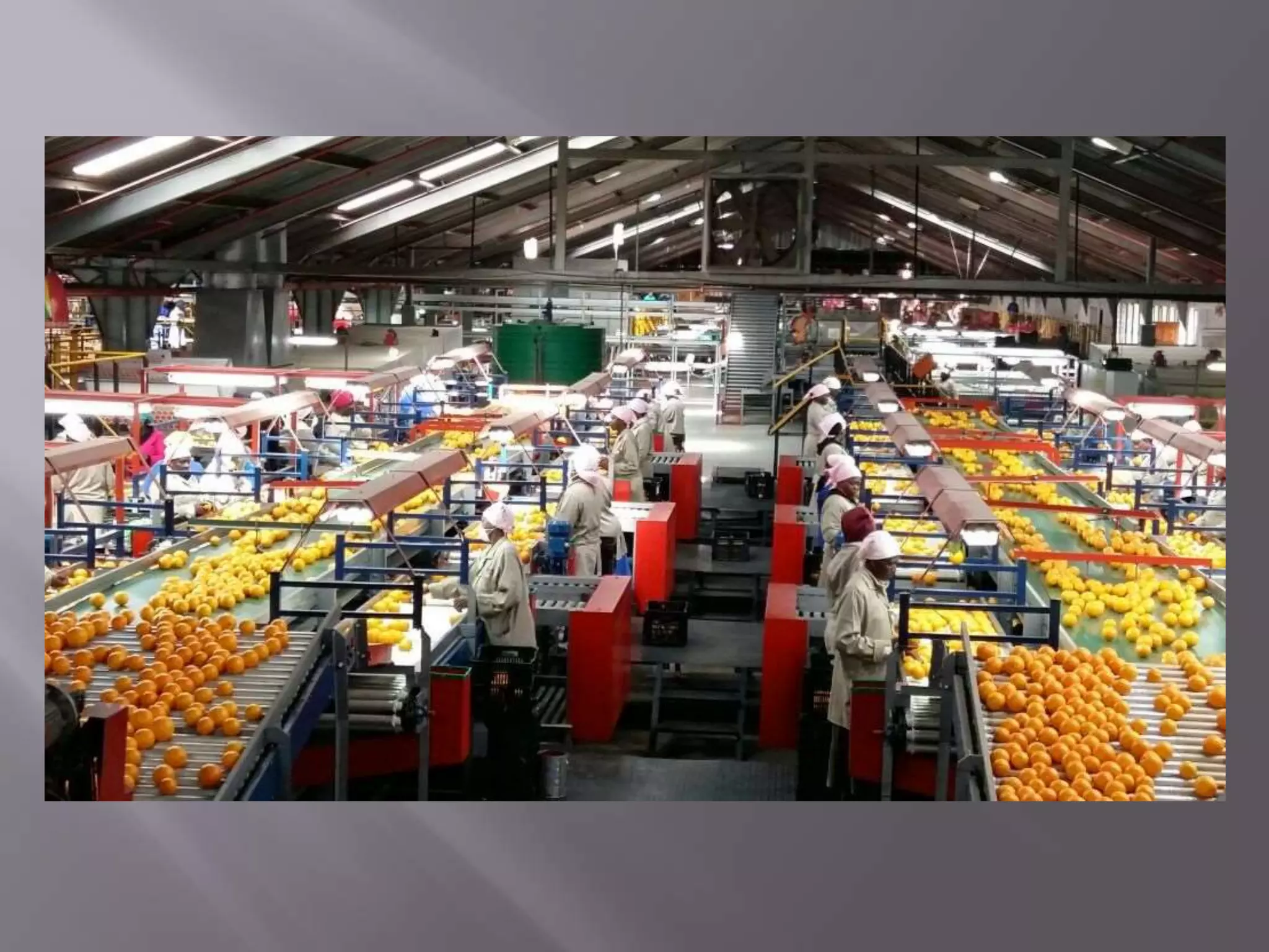 My New Pack House Design - in action | PPTX