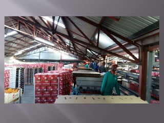 My New Pack House Design - in action | PPTX