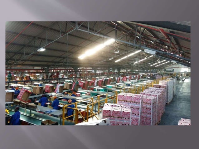 My New Pack House Design - in action | PPTX