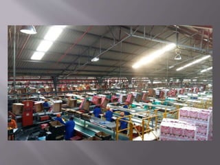 My New Pack House Design - in action | PPTX