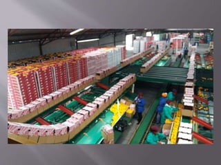 My New Pack House Design - in action | PPTX