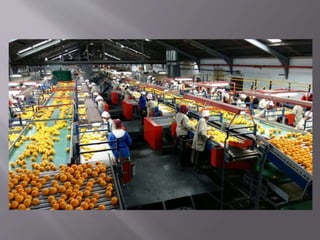 My New Pack House Design - in action | PPTX