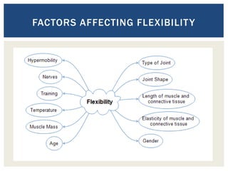 Flexibility | PPTX