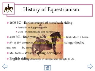 Equestrainism: Horse Riding | PPTX