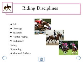 Equestrainism: Horse Riding | PPTX