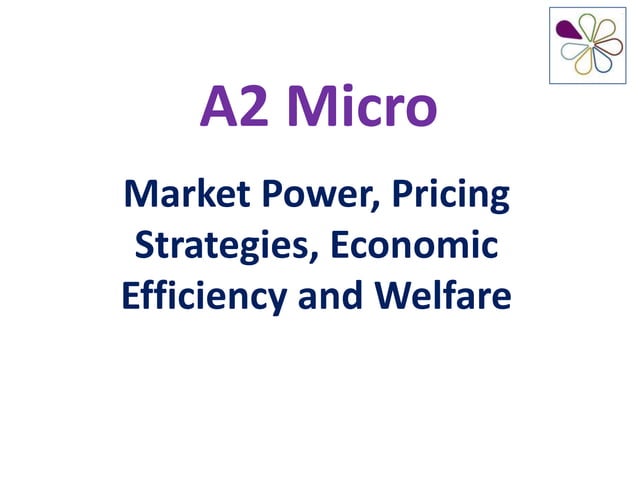 A2 Microeconomics Pricing Power | PPTX | Technology Industry | Industries