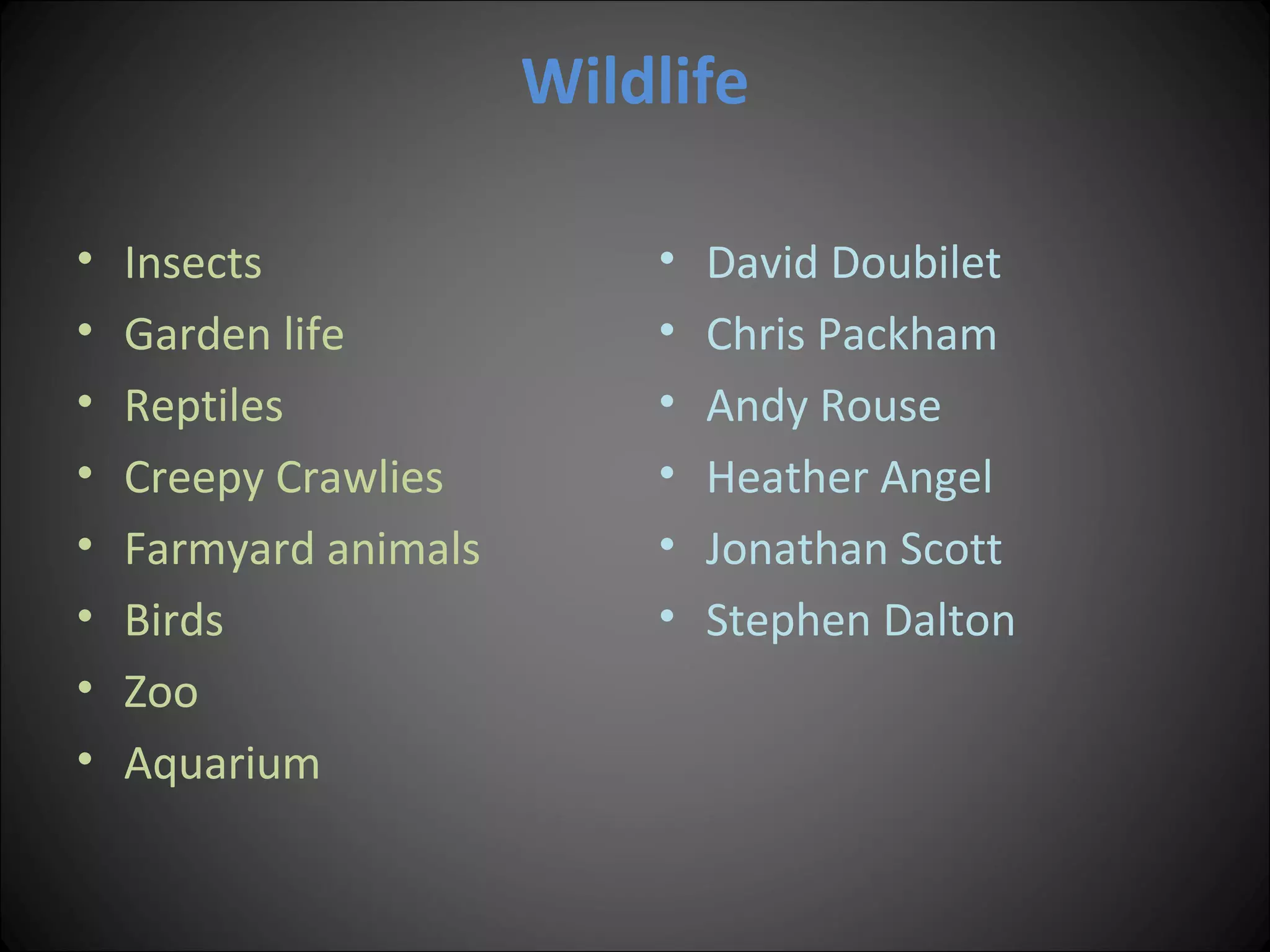 Photography: A2 personal investigation ideas | PPT