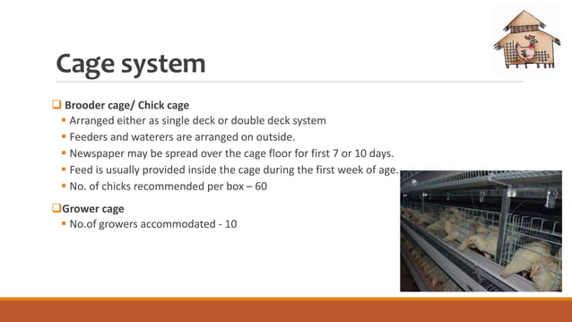 Types of broiler houses | PPTX