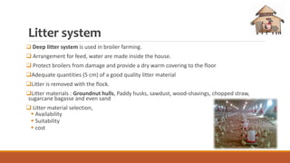 Types of broiler houses | PPTX