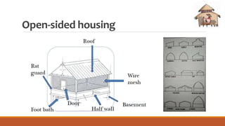 Types of broiler houses | PPTX