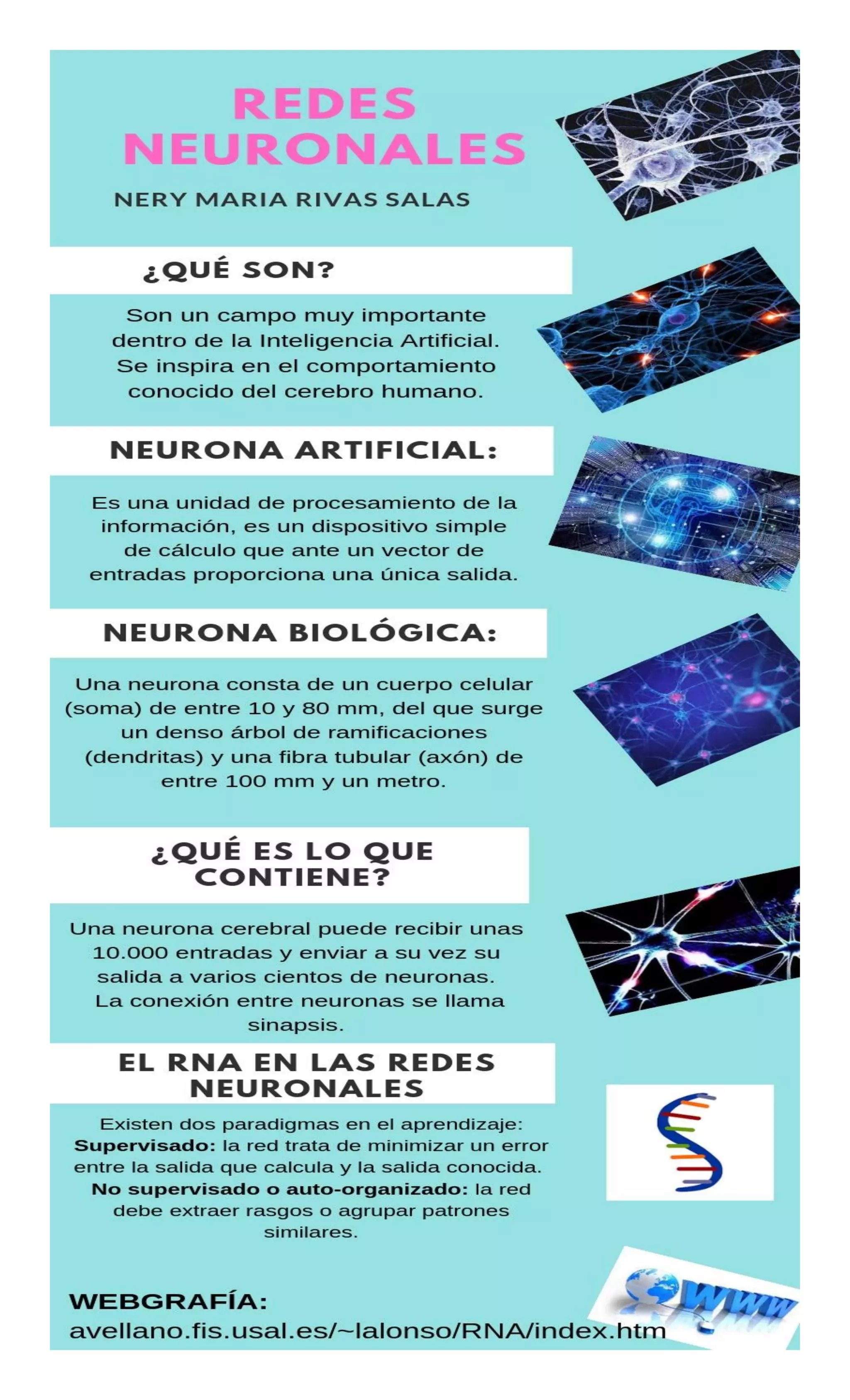 INFOGRAFIA REDES NEURONALES | PDF