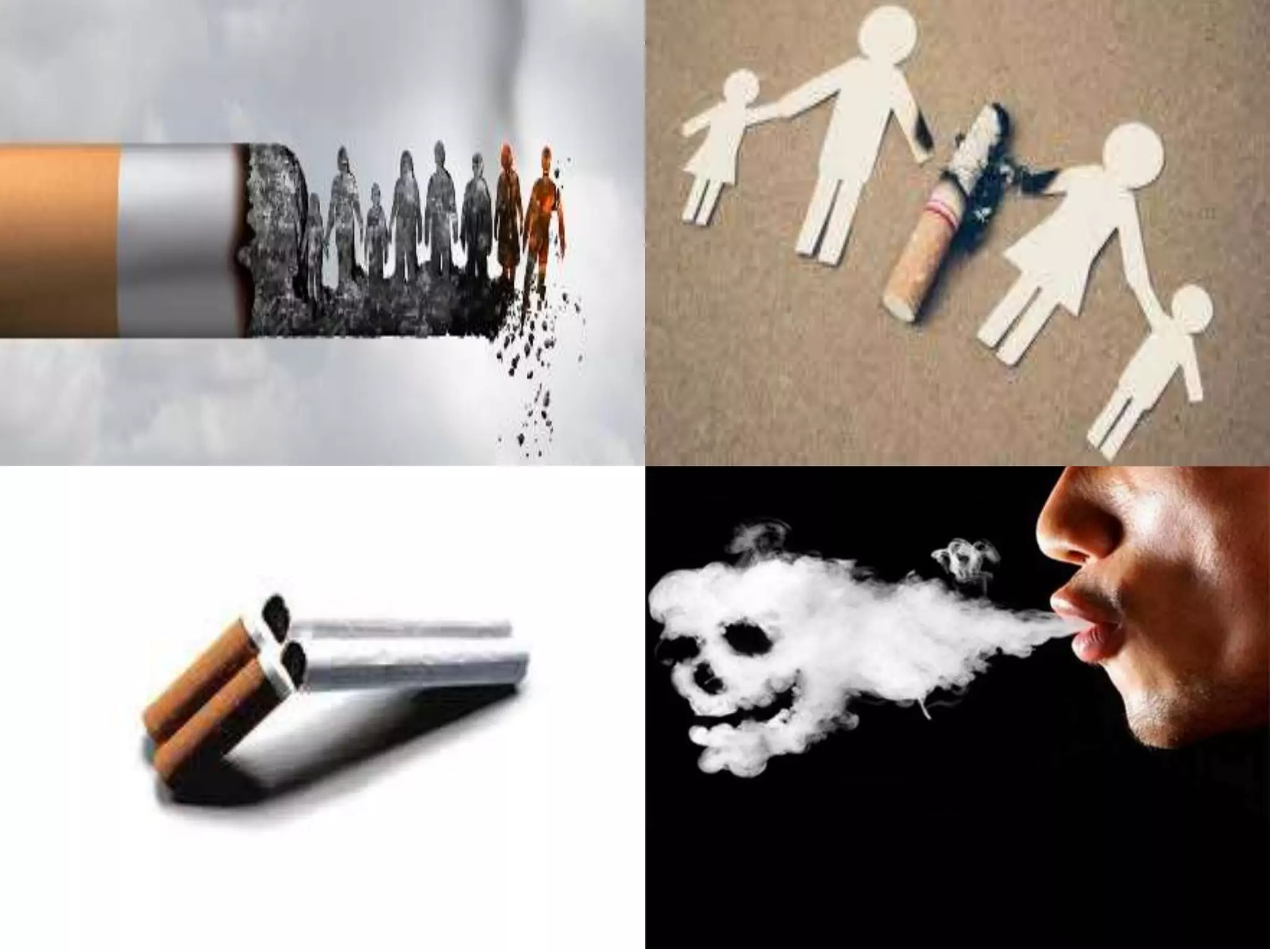 Архи тамхины талаарх бодит мэдээлэл Ppt