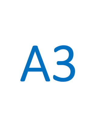A3.pdf