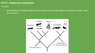 A3.2 Classification and Cladistics slideshow (HL only).pptx