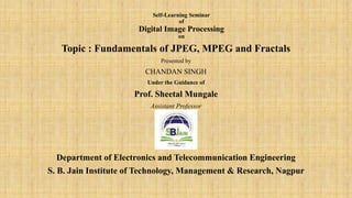 JPEG and MPEG | PPTX