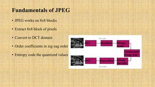 JPEG and MPEG | PPTX